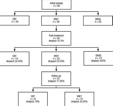 flowchart representing sample assignment sample sizes and dropout download scientific diagram