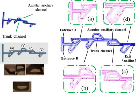 Tesla Valve Based Flexible Microhybrid Chip With Unidirectional Flow