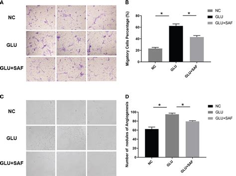 Transcriptome Sequencing Results A Shows The Heat Map Of The Three Download Scientific