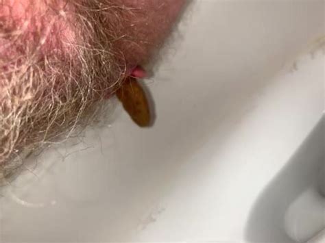 Super Desperate Video ThisVid Com