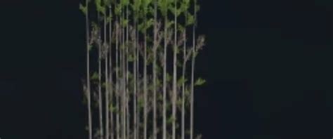 FS22 Tree Sapling Pallet 100 pieces v 1 0 Gameplay Mod für Farming Simulator 22