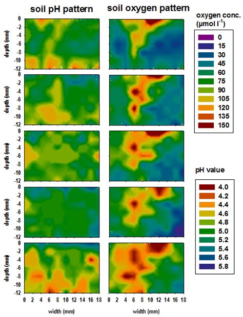 Visualization Of A Series Of Ph And O2 Profiles Across The Lateral