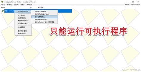 windows10下使用沙盒多开uiautoanimation可行性验证 csdn博客