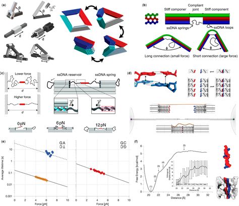 Robotic Dna Nanostructures Acs Synthetic Biology