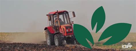 The International Company For Agriculture Production And Processing