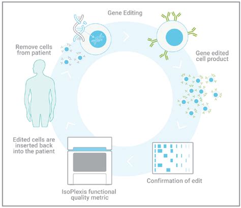 Cell Stem Cell Isoplexis单细胞功能蛋白质组学技术加速crispr编辑的ips Nk细胞疗法 知乎