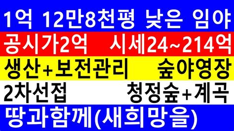 1억 12만8천평 크고 싼임야 2차선접 건축가 자연인 전원생활 숲야영장탠트고기집캠핑교회힐링숲6차산업 숲카페 약용재배 방목 산분장 땅과함께새희망을경매임야 공매임야