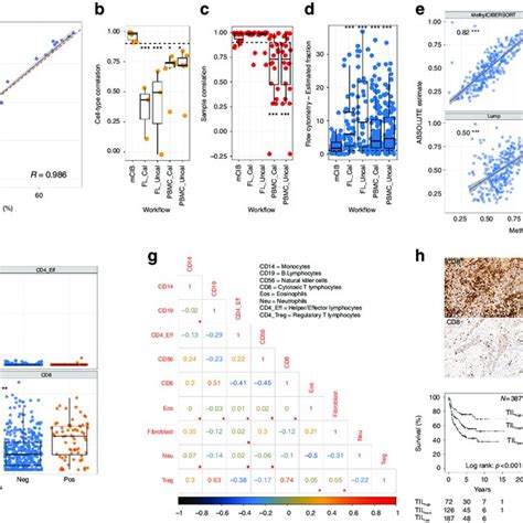 Validation Of Dna Methylation Based Deconvolution For The Analysis Of Download Scientific