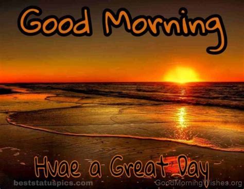 30 Good Morning Wishes With Rising Sun Good Morning Wishes