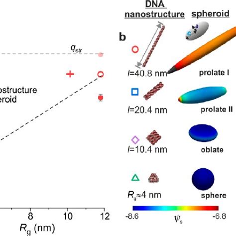 Interpreting The 3d Conformation Dependence Of Nanostructure Effective Download Scientific