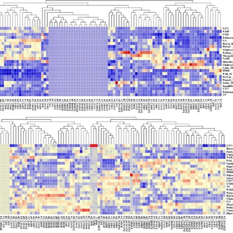 Differential Expression Of Rsa Related Genes In A Leaf And B Root