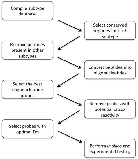 Figure 1 From Universal Oligonucleotide Microarray For Sub Typing Of Influenza A Virus