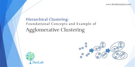 Hierarchical Clustering Foundational Concepts And Example Of