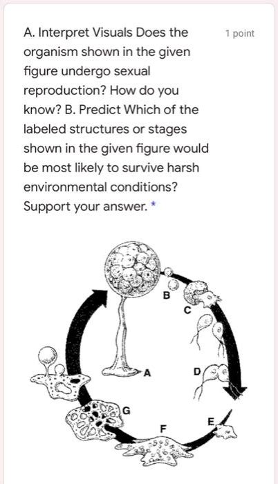 A Interpret Visuals Does The Organism Shown In The Given Figure Undergo Sexual Reproduction
