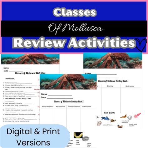 Marine Biology Phylum Mollusca 7 Classes Of Mollusca Gallery Walk