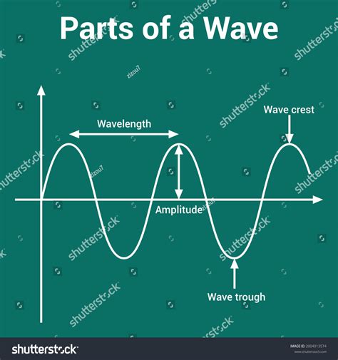 Vektor Stok Parts Wave Crest Trough Amplitude Wavelength Tanpa Royalti