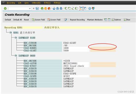Sap数据导入工具lsmw 超级详细教程(批量导入内部订单) Csdn博客 Sap数据导入工具lsmw 超级详细教程(批量导入内部订单) Csdn博客