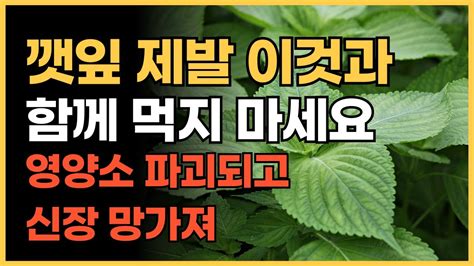 깻잎과 상극인 음식 3가지 L 깻잎과 같이 먹으면 좋은 음식 2가지 Youtube