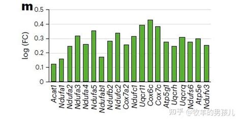 跟着nature Metabolism学作图 R语言ggplot2各种各样柱形图 1 知乎
