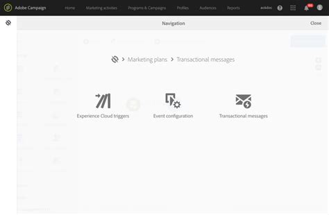 using triggers in campaign adobe campaign