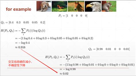 Pytorch基础知识十四【交叉熵】交叉熵范围 Csdn博客