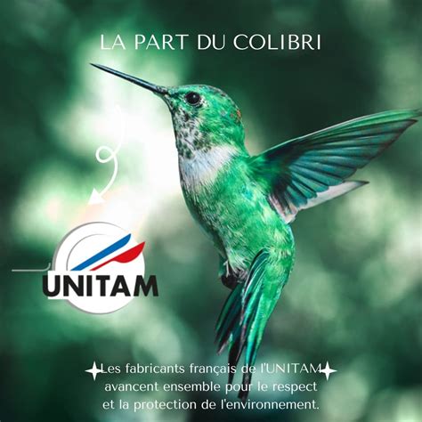 G2xjprvp Anthony Lambert