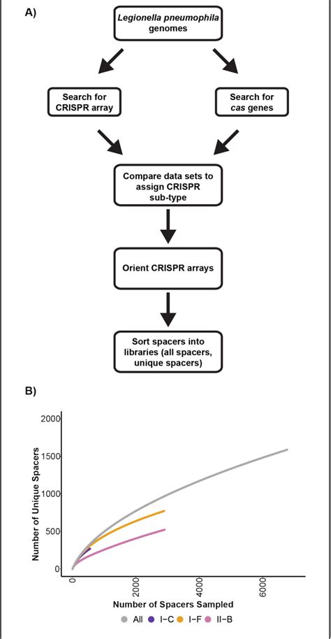 A Catalogue Of L Pneumophila Crisprcas Systems And Their Spacers A