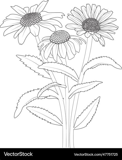 Gerber Daisy Outline Gerber Daisy Art Print By Diana Fy