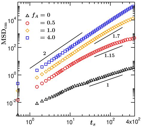 log log plot of the mean squared displacements of the center of mass of