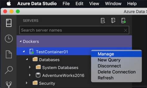 Create A SQL Server On Linux Container With 5 Lines Of Code