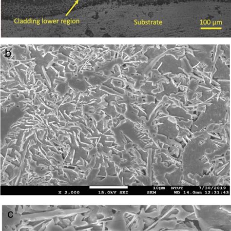 A Schematic Picture Of Microhardness Indentation In Three Different