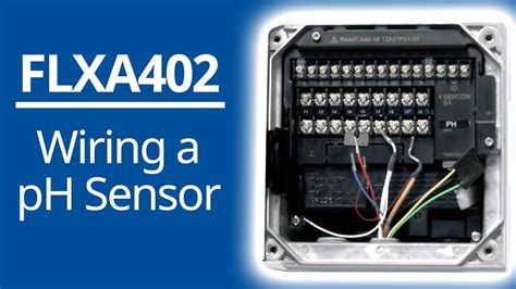 Ph Sensor Installation At Brenda Edmonds Blog