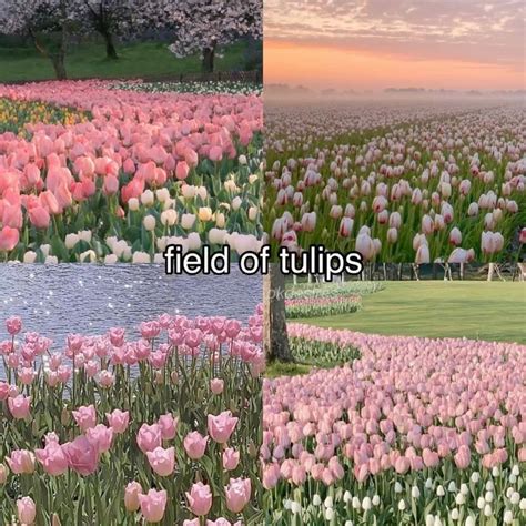 Pretty Flowers And Their Names Pretty Flowers And There Names Cute