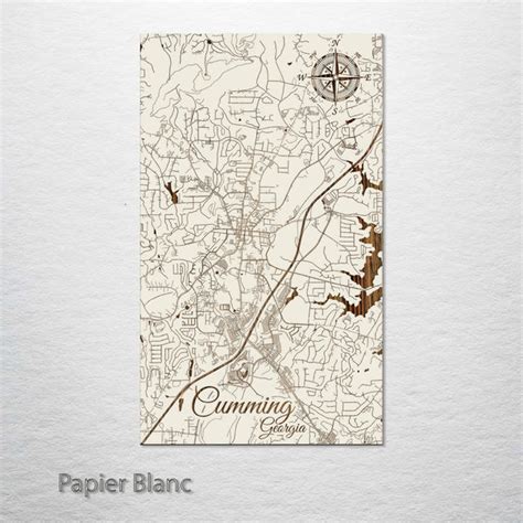 Cumming Georgia Street Map Fire And Pine