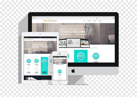 Display Device Computer Software Display Advertising Organization Resume Portfolio Electronics