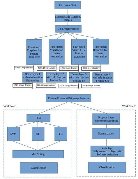 Deepcyto A Hybrid Framework For Cervical Cancer Classification By Using Deep Feature Fusion Of