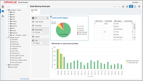 Oracle Primavera Analytics