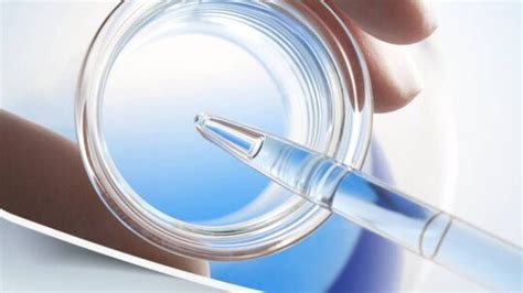 10 Ideas For Lab Presentations PoweredTemplate Blog