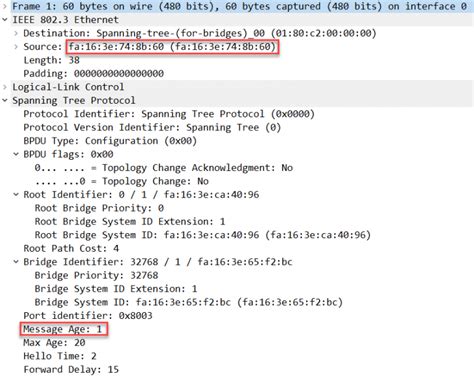 Spanning Tree Reconvergence