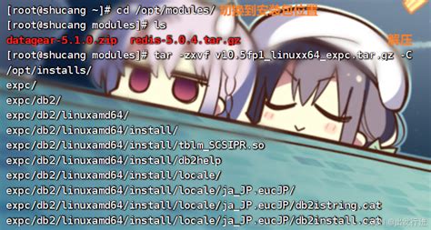 db2在linux的安装过程，详细命令 本人安装过程的配图详解 db2数据库安装 csdn博客