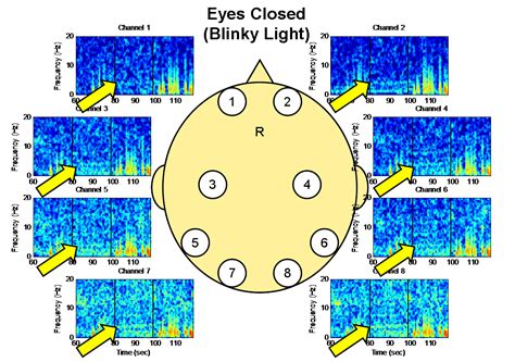 EEG Hacker Blinky Lights Visual Entrainment