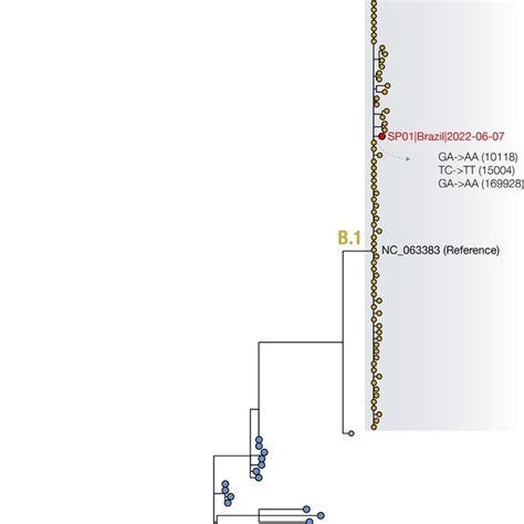 Maximum Likelihood Phylogeny With 103 Whole Genome Mpxv Sequences