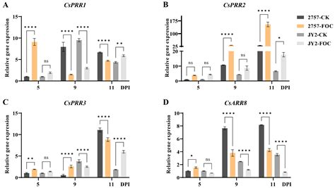 Resequencing And Transcriptome Analyses Reveal Variations And