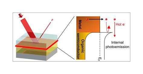 Organic Sub Bandgap Schottky Barrier Photodetectors With Near Infrared Coherent Perfect