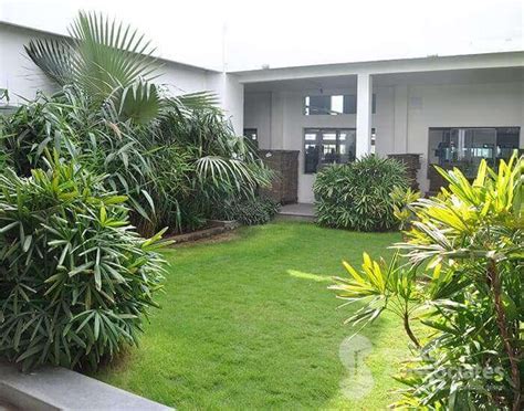 Srinivas Fine Arts Pvt Ltd Sivakasi Tamil Nadu Sankar And Associates