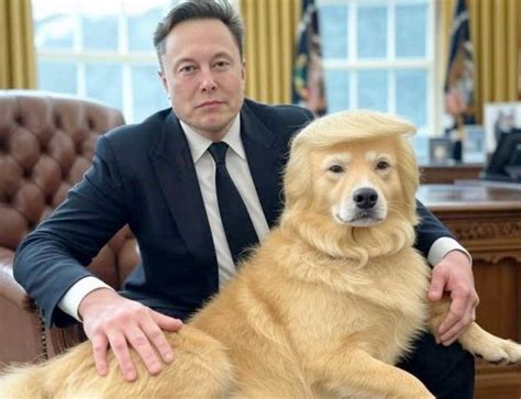 President Musk Will See You Now If Youre Bearing Money Or Power That
