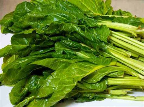 Ormai Il Basilico Appassito E Secco è Solo Un Ricordo Il Mio è Sempre