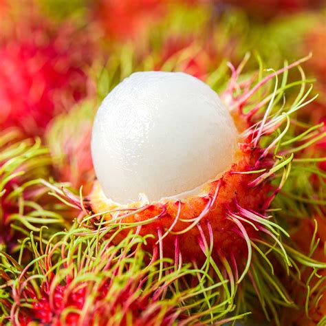 Rambutan The Quirky Fruit Packed With Benefits