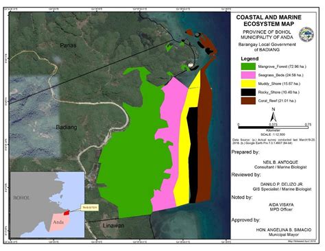 From Decline To Revival Anda Bohol Communities Take Back The Sea