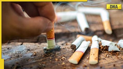 Dna Special The Purposeful Use Of Cigarette Butts By A Noida Businessman